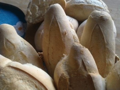 Ciriola: le Vostre ricette | Cookaround