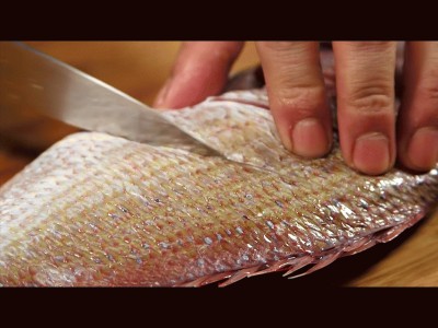 Parago al cartoccio con olive taggiasche | Cookaround