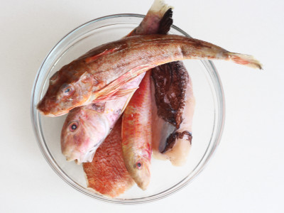 Brodo di pesce: ricetta semplice per risotti e piatti di mare | Cookaround