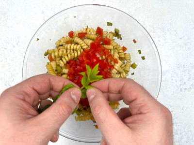 Insalata di pasta fredda con zucchine e menta: ricetta facile estiva ...