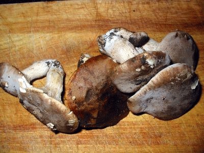Bocconcini di filetto ai funghi di ferla profumati al Marsala: le ...