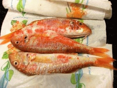 Triglie come si fanno a Livorno | Cookaround