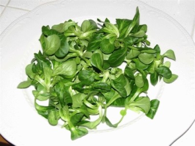 Insalata di songino: le Vostre ricette | Cookaround